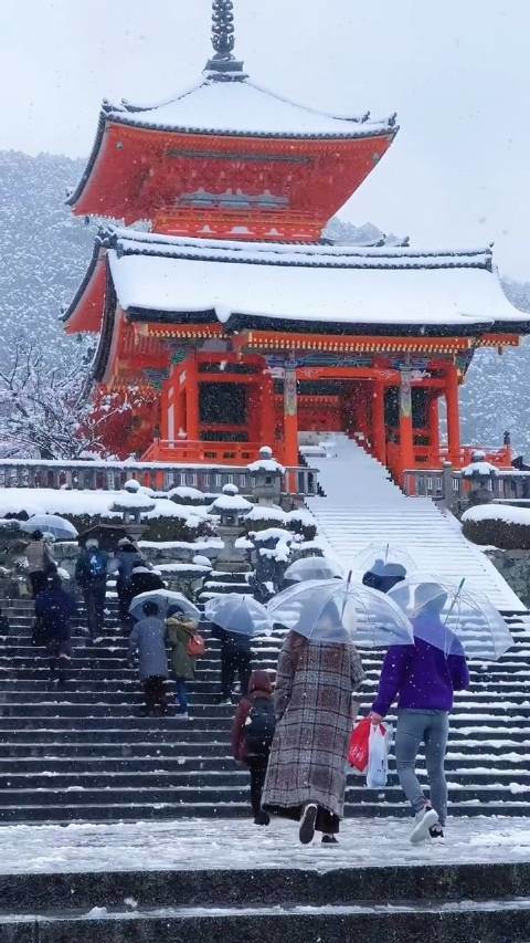 ... 酷似动漫世界~京都的初雪,清水寺一夜化身雪国,好梦幻![雪花]#咪咕...