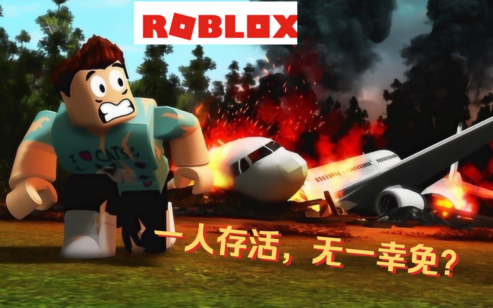 飞机失事坠落!仅一人存活,无一幸免!#Roblox飞机故事模拟器