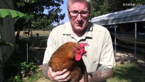 都说稳定器云鹤2比“鸡”稳,这个老外用实例来证明了!