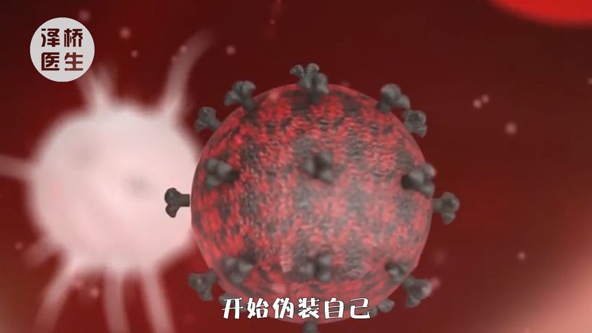 HIV真相大揭秘!你所不知道的艾滋病毒常识!