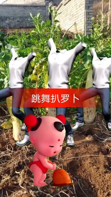 少儿舞蹈视频 拔萝卜