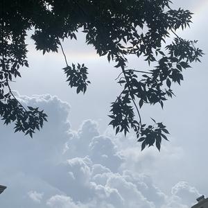 一心一意孔明 