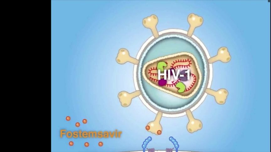 艾滋病病毒HIV-1生物体内的作用机制