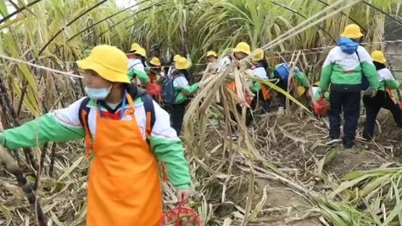 岑山生态博乐园开展“走进农耕基地体验农耕文化”劳动实践