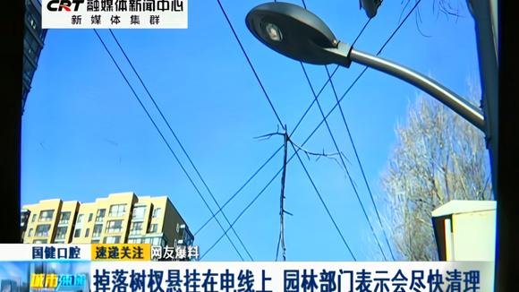 网友爆料:掉落树杈悬挂在电线上 园林部门表示会尽快清理