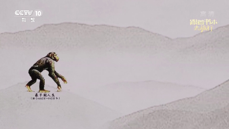 【跟着书本去旅行】和早期人类“比身高”,他们比现代人矮很多?