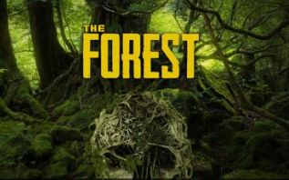 森林试玩{可能会开坑}