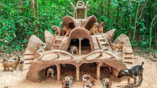 小伙自制"狗窝",黏土竹子完美结合,狗狗入住后注入灵魂