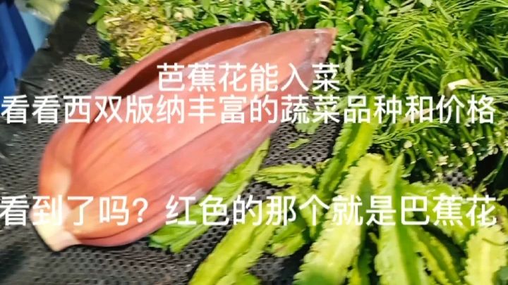 看看西双版纳丰富的蔬菜品种和价格