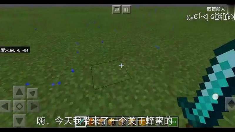 当蜂蜜模组(?)进入我的世界会怎样?