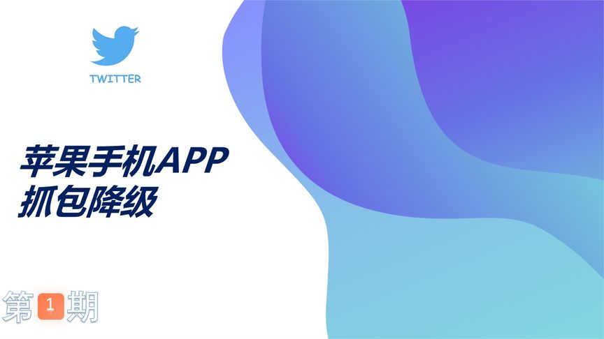 苹果手机抓包旧版应用app降级推特设置中文