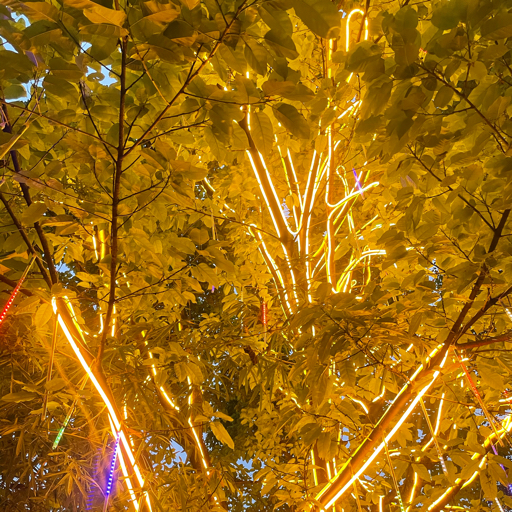 小鱼小鱼小鱼摆摆 