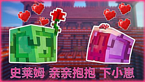 小橙子姐姐我的世界搞笑好玩的模组介绍 第一季 第26集饲养史莱姆...