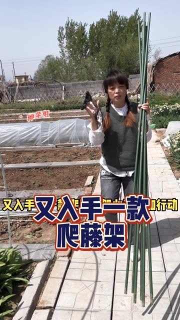又手手一款爬藤架,豆角黄瓜搭架子特别实用又很结实,包塑钢管材质