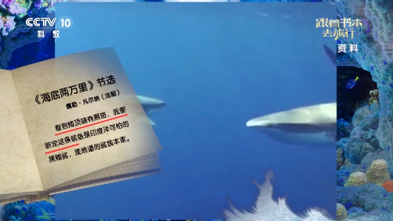 【跟着书本去旅行】谁是“鲨鱼界”的“夜猫子”?