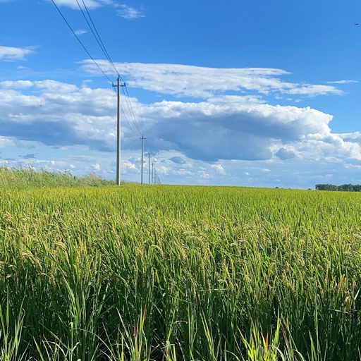 七分饱晚上会饿 