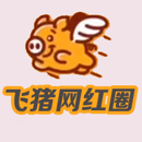 飞猪网红圈 