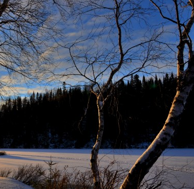 喜爱旅游的小冰 