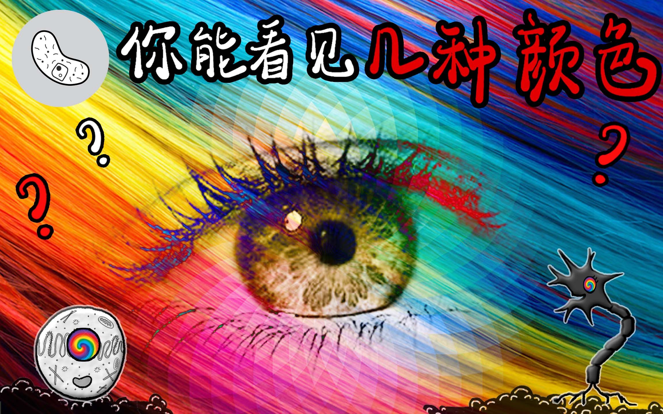 ...基因是进化优势?】原来男女色感真的有别?色盲的进化原因是什么?...