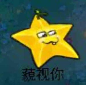 莫得技术的龙猫 