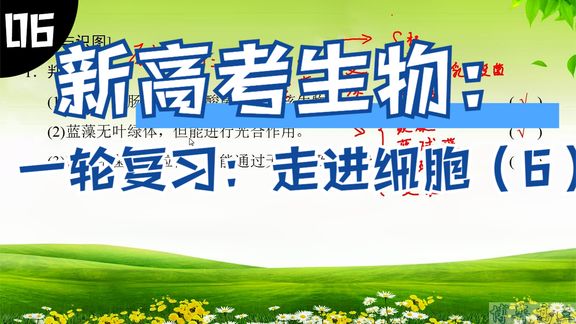 新高考生物一轮复习第一讲:走进细胞 (6)
