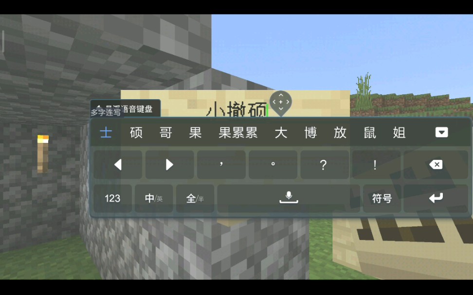 小撤硕,带哥作。(我的世界)2
