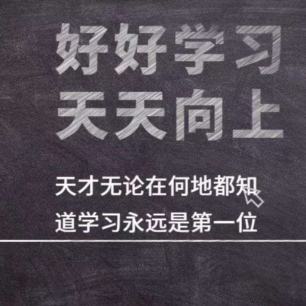 高效提分王老师 