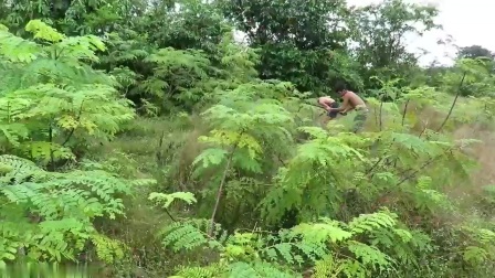 大家注意避免和这种动物正面接触