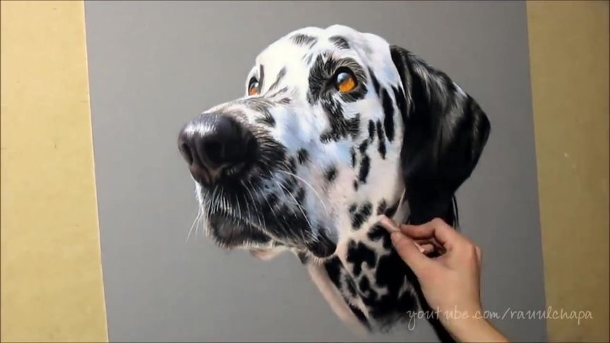 蜡笔画,斑点狗,画的太写实了,还以为是照片!