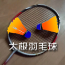 太极羽毛球_ 