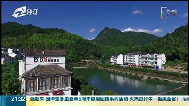 浙江代表姜丽娟亮相二十大“党代表通道”:从下姜到“大下姜” 从...