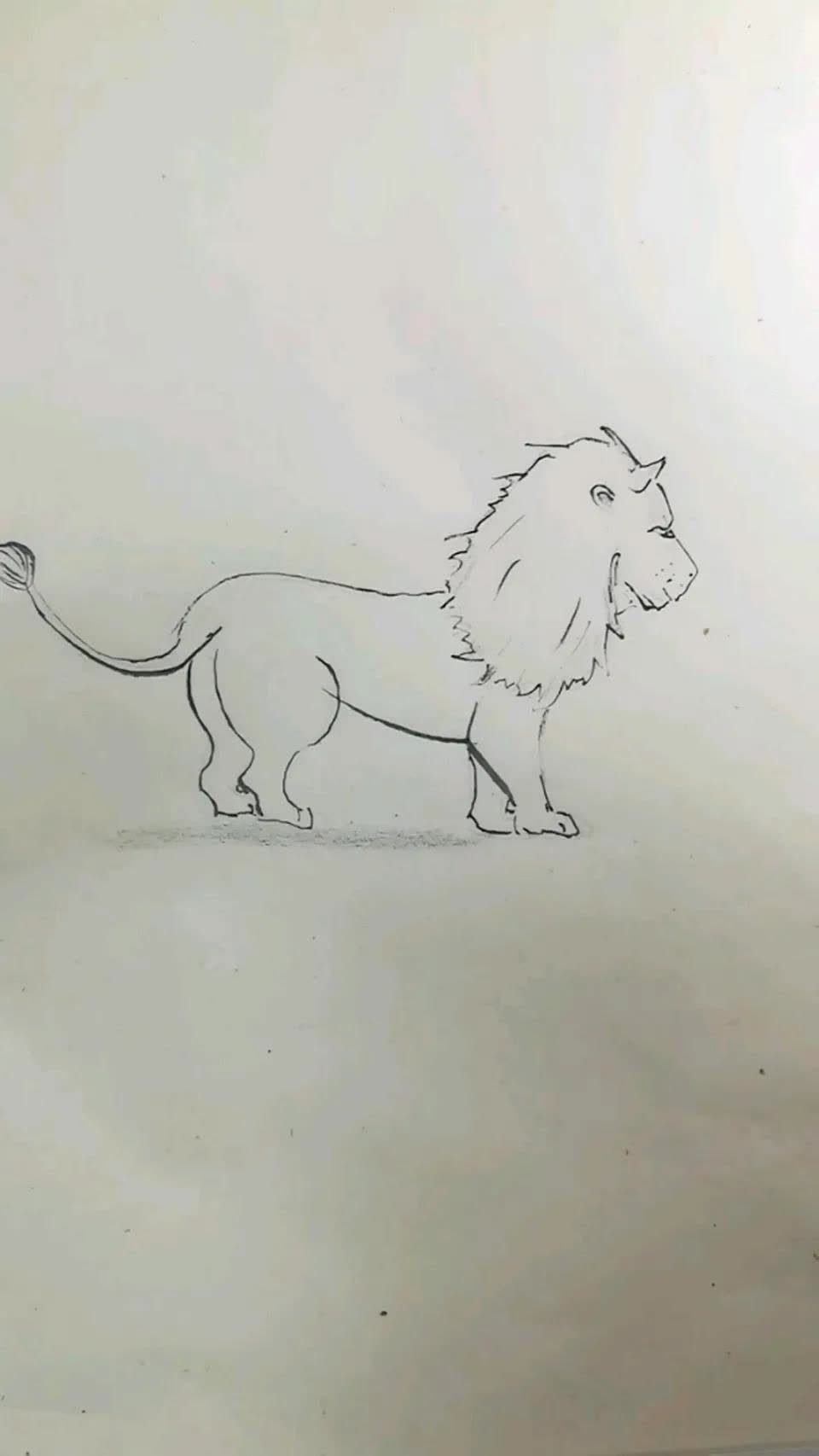 一起学简笔画狮子