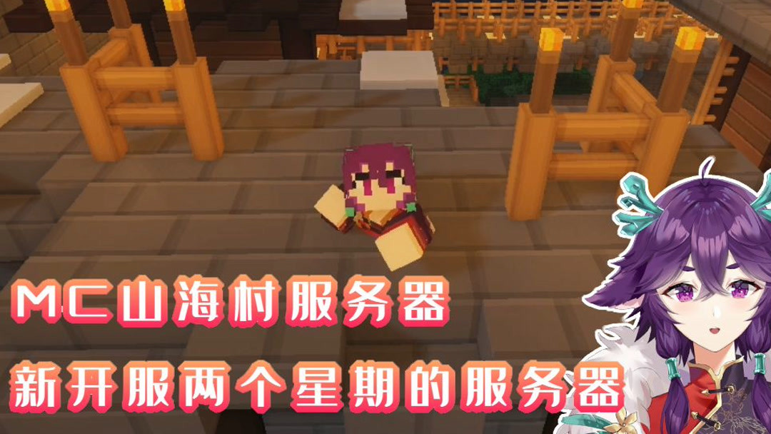 MC我的世界刚开服两个星期的服务器会变成什么样子?【我的世界】...