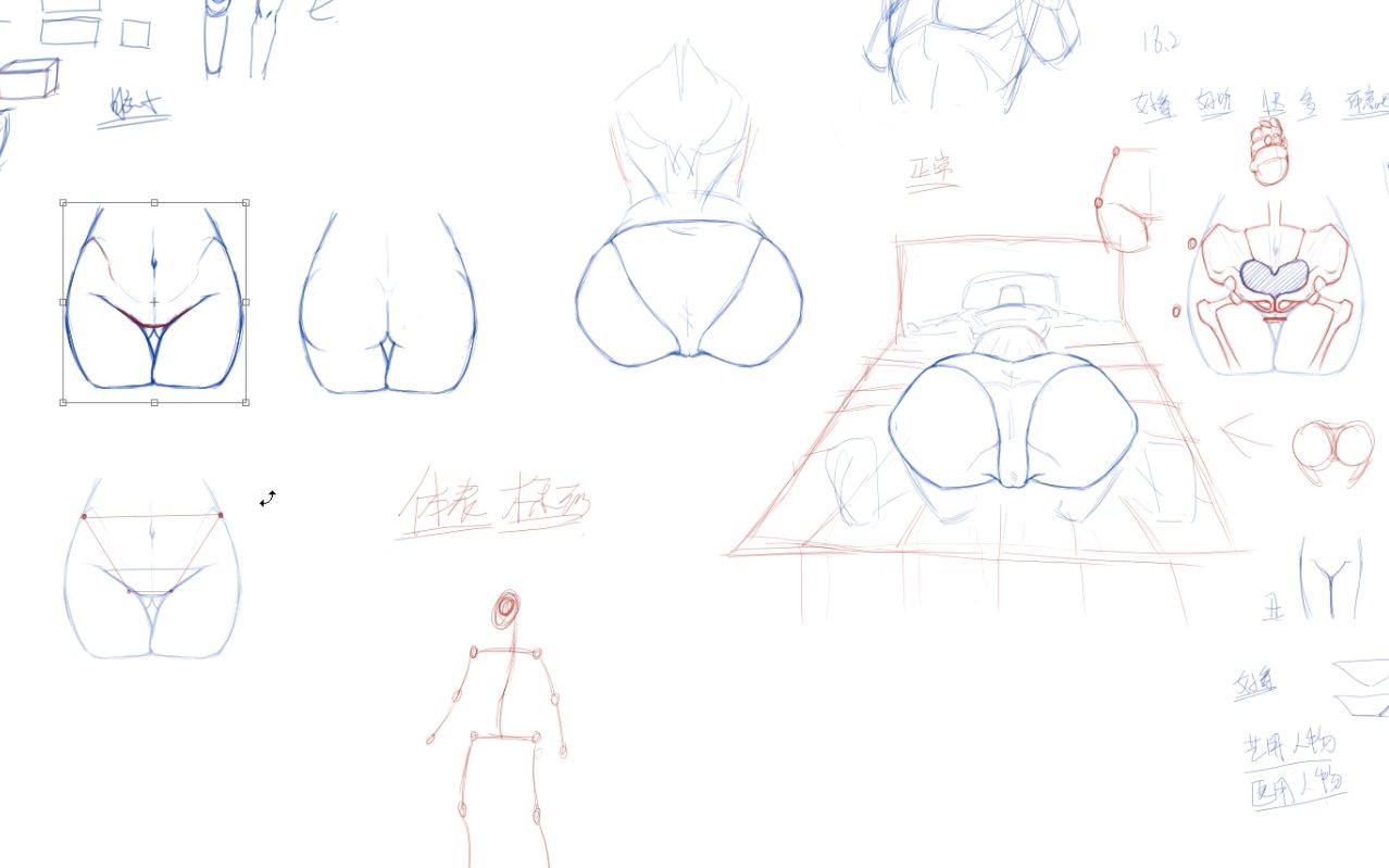 【绘画教程】正经的小白老师教你画正经的画!