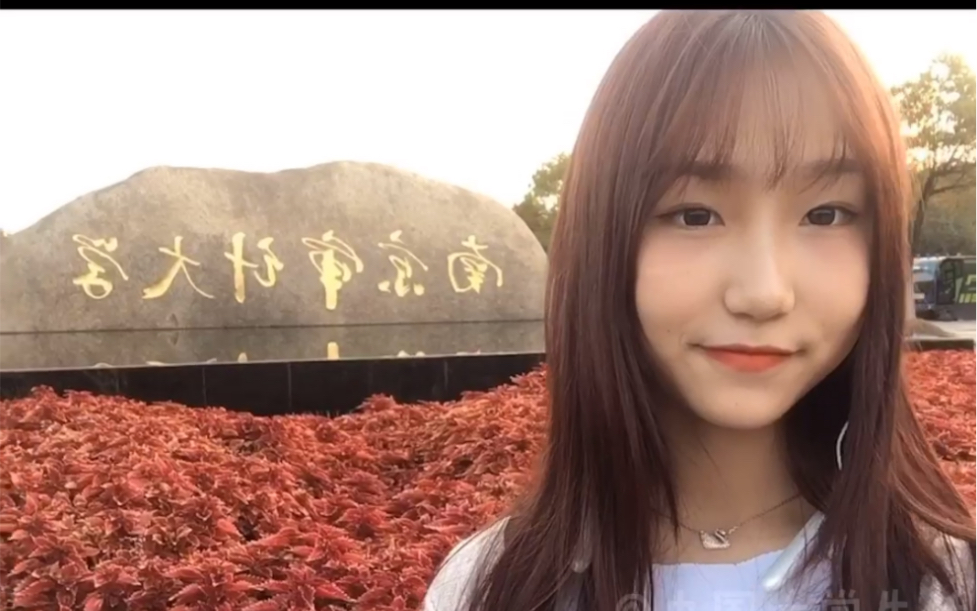 在南京审计大学读书是种怎样的体验