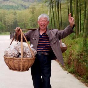 刘逸奇 
