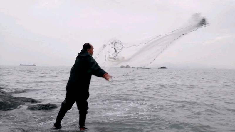 渔人老赵分享三把网教程,好学又实用,快来学习一下吧