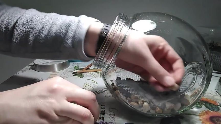 玻璃罐还能这样玩,几分钟制作一个美丽的植物生态缸,成品真美