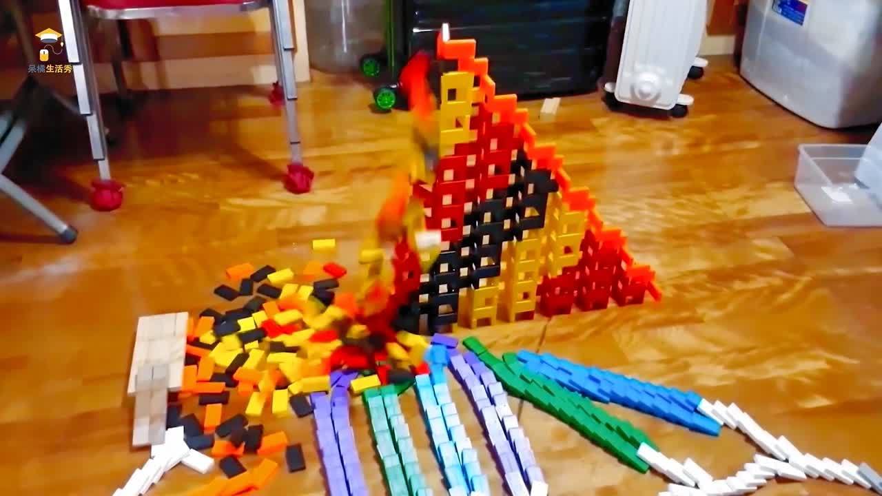 多米诺骨牌倒下过程倒放是啥样?感觉有一股神奇的力量在左右着我