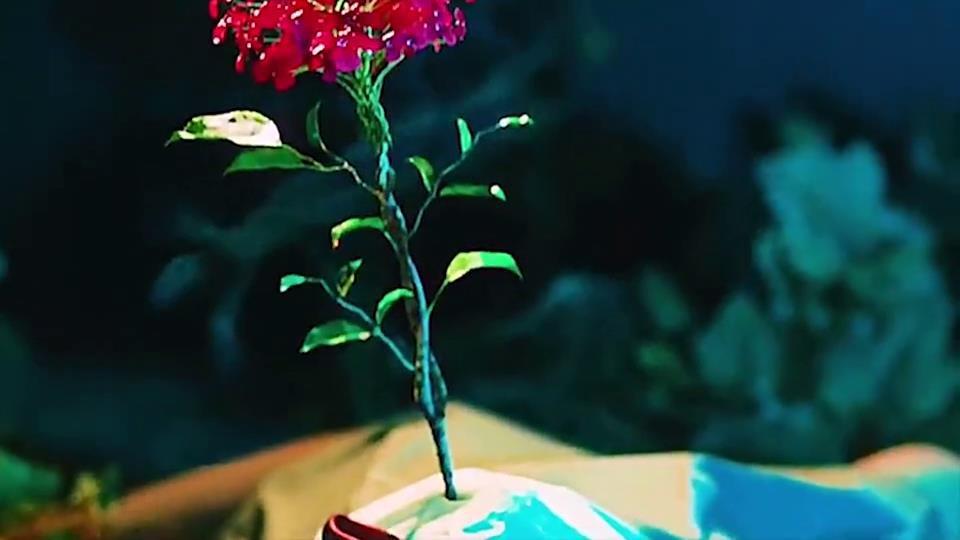 女孩被漂亮阿姨抚养长大,到了十二岁就送去给怪物当食物