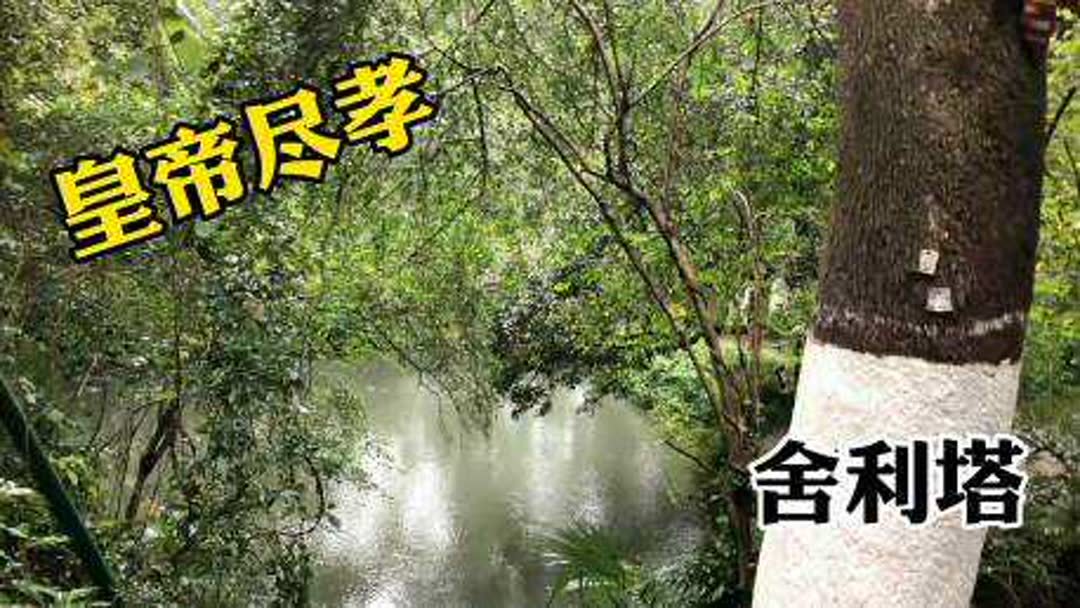 游岳麓山山间舍利塔,感慨古代皇帝尽孝与普通人尽孝之间的差别
