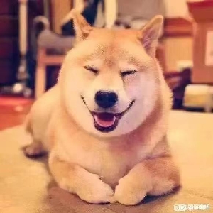 风景大自然lll 