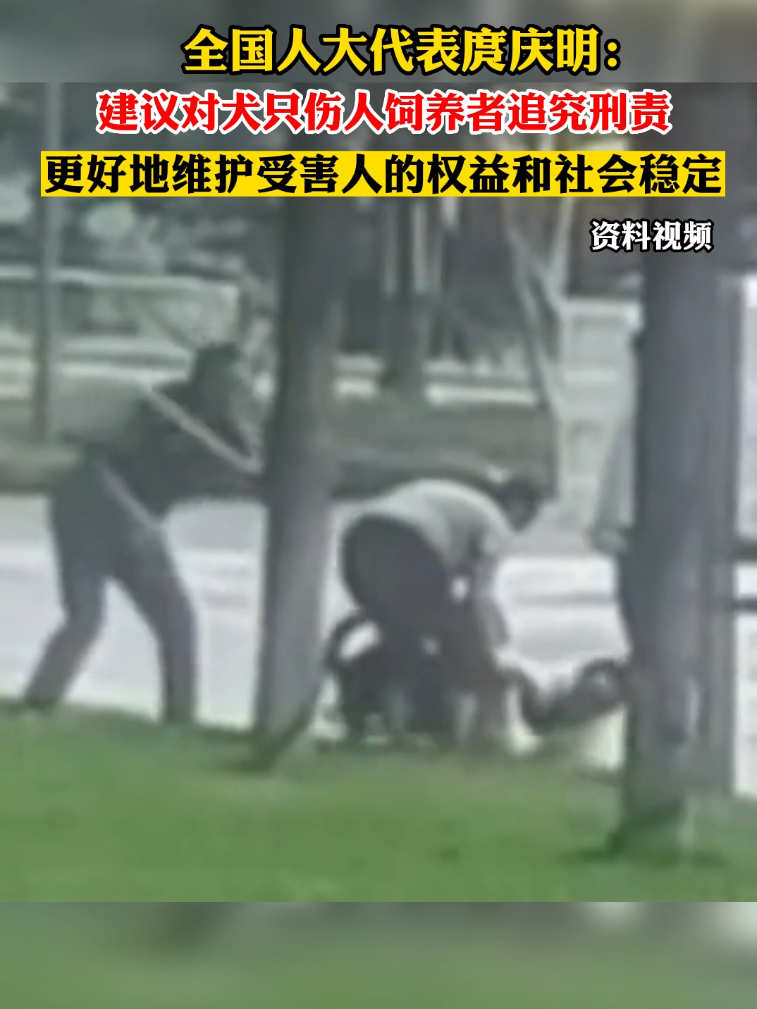 支持对咬人狗的主人,追究刑事责任