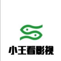 小小王看影视 