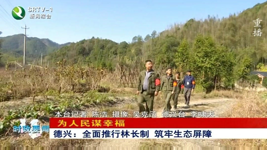 德兴:全面推行林长制筑牢生态屏障