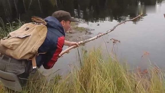 枯树枝不停晃动,钓友跑过去就是一通拽