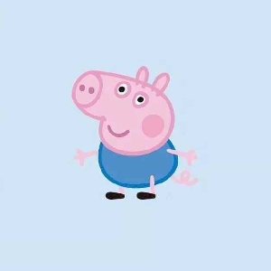 飞翔的小猪维维 