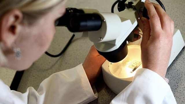 科学家将在实验室模拟癌症发生过程