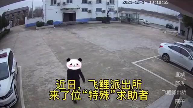 #我为群众办实事#【他笑着感谢无声胜有声】12月15日,一名聋哑人...
