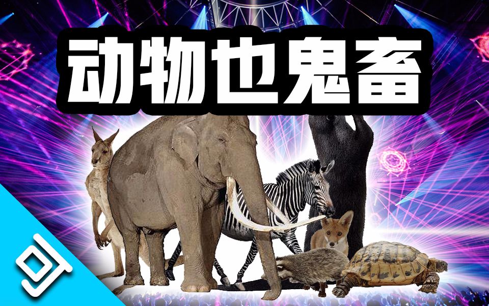 【动词大慈】嗨爆!动物圈的电音狂欢!